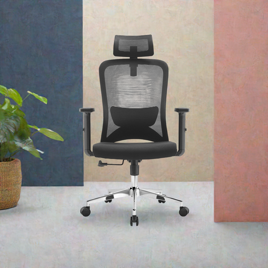 Ergonomic Mesh Office Chair with Lumbar Support – Perfect for ...